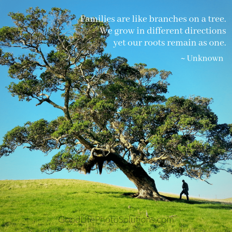 Inspiring Quotes about Family & Family History - Good Life Photo ...